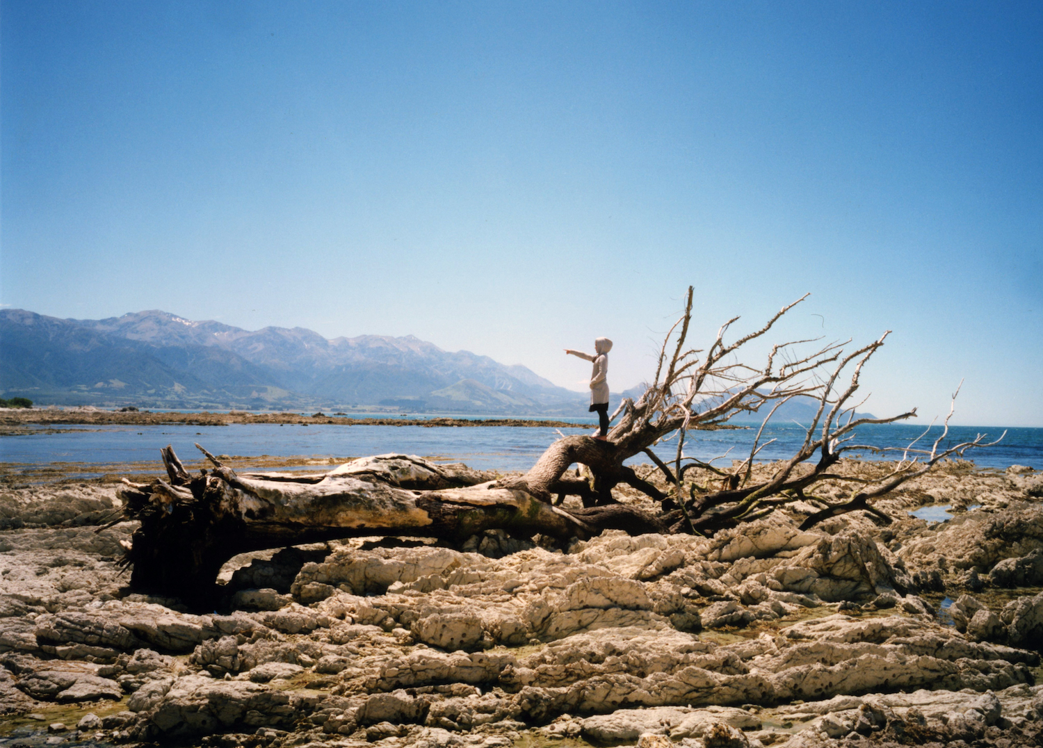 MUJIN-TO Production » Yoko Asakai Group Exhibition “Shibuya 2chome Art ...